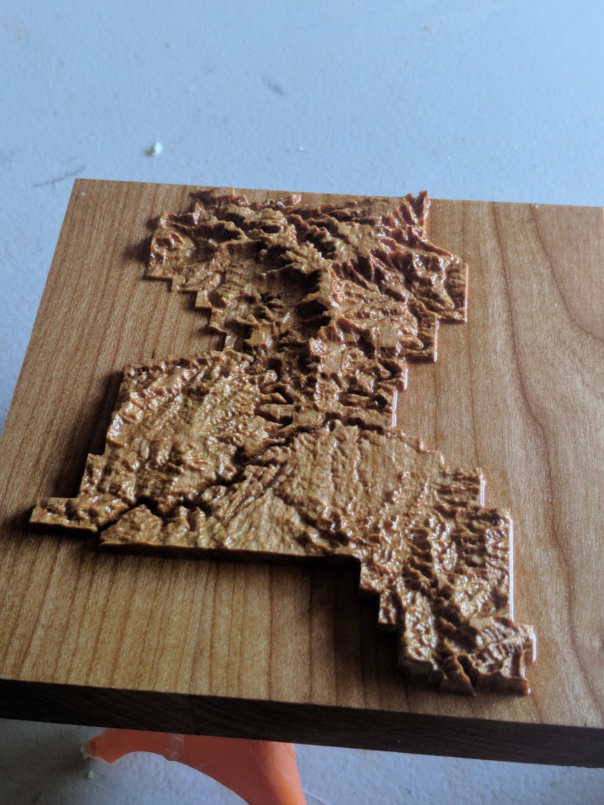 National Parks Topographic Wooden Relief Map – Topside Maps